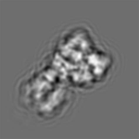 Cryochains Heterogeneous Reconstruction Of Molecular Assembly Of Semi