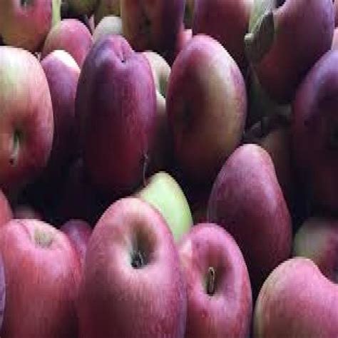 Fruit Detection Object Detection Dataset By Newjewelrydataset