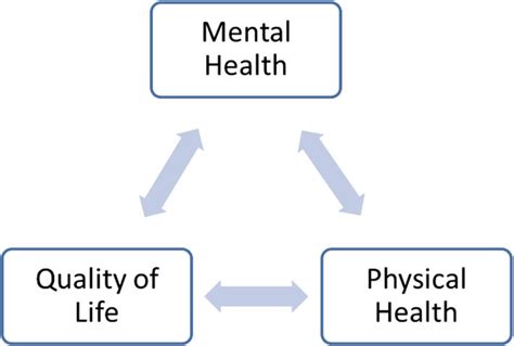 Conceptual Framework Of The Interrelationship Between Mental Health Download Scientific