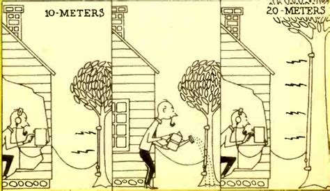 Tree Antenna 1962 OneTubeRadio