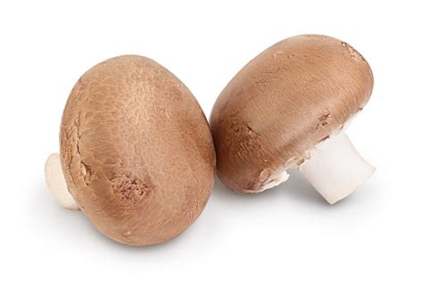 클리핑 경로와 전체 깊이의 필드가있는 흰색 배경에 고립 된 로얄 브라운 샴페인 건강한 식생활에 대한 스톡 사진 및 기타 이미지 건강한 식생활 균류 날것 Istock