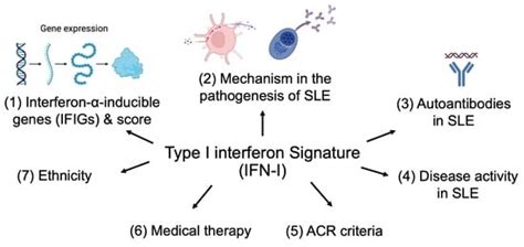 Optimal Selection Of Ifn α Inducible Genes To Determine Type I