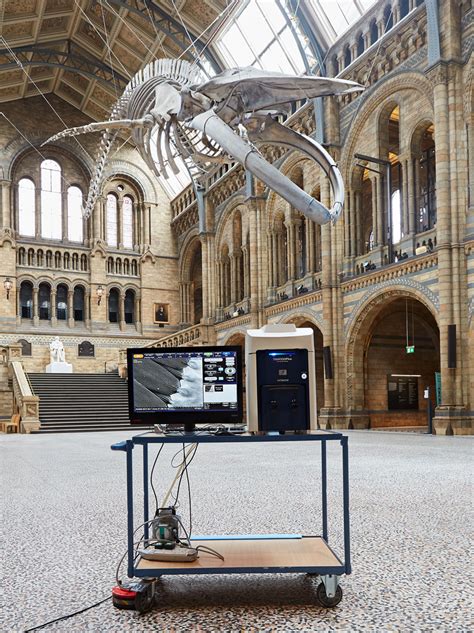 The STEM Education Project Giving UK Babes Experience