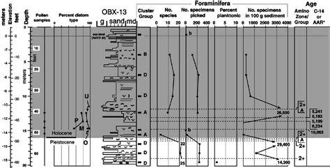 Lithologic Log Of Core Obx 13 Indicating Sample Depths Number Of