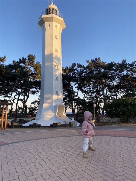 菜鳥工程師 肉豬 今日風情 20241228