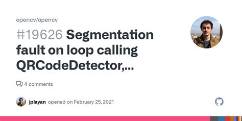 Segmentation Fault On Loop Calling Qrcodedetector Decodecurved Method