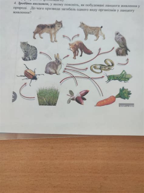 Практична робота № 3 Варіант 3 Тема Складання ланцисів живлення водойми парку лісу поля