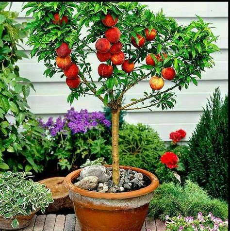 داستان های ناب