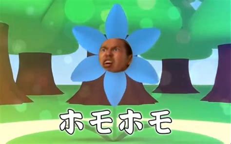 野兽先辈原版视频 Bilibilib站无水印视频解析——yiuios易柚斯