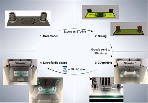 Workflow For Direct 3d Printing Of A Microfluidic Chip 1 Cad Model A Download Scientific