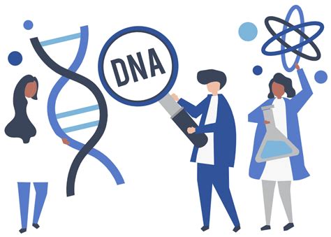 Autosomal Dna Testing Everything You Need To Know