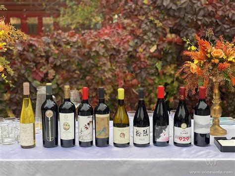 贺兰山东麓葡萄酒成联合国日纪念活动指定用酒 葡萄酒资讯网www winesinfo