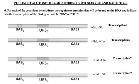 Galactose Utilization Pathway In Yeast An Example Of