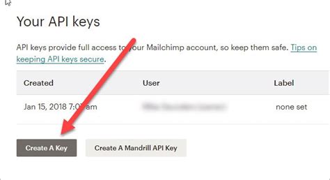 How To Get Your MailChimp API Key HealthHosts