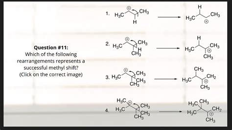 Solved Ch3 Ch3 H3c 38h 2 Ch3 H3c Ch3 Ch3 38h Ch3 Question 11 Which Of The Following