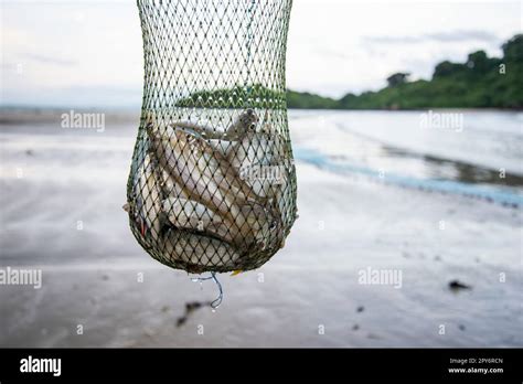 THAILAND PRACHUAP BANG SAPHAN BO THONG LANG BAY Stock Photo Alamy