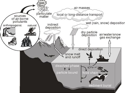 Persistent Organic Pollutants