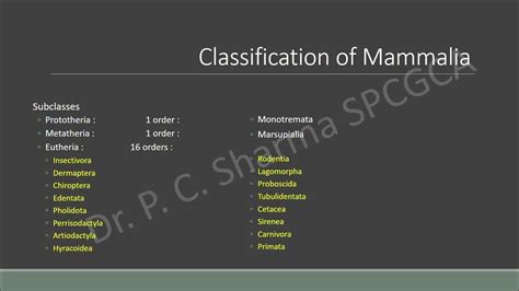 Classification Of Tetrapoda 4 Mammalia Youtube