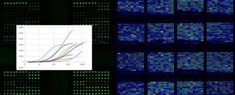 Raybiotech Over 700 Multiplex Arrays Lucerna Chem Ag