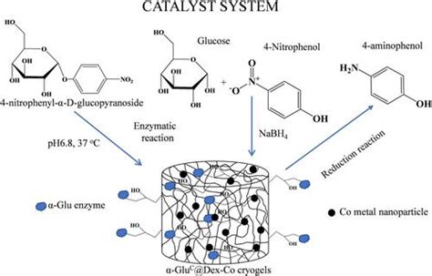 α 葡萄糖苷酶固定化葡聚糖 钴金属纳米粒子冷冻凝胶复合系统作为双催化剂具有增强的稳定性和催化活性 Chemcatchem X Mol