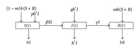 The Compartmental Diagram For The Sir Model With Vertical Transmission Download Scientific