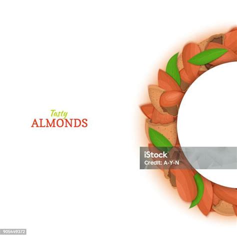 반원 프레임 아몬드 너트로 이루어져 있습니다 벡터 카드 그림입니다 포장 디자인 식품 버터 기름 너트 양 개 암 나무 프레임 셸 셸에서 헤이즐넛 과일 화장품 크림을 해독