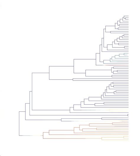 Bamm 性状进化速率 入门学习的第二部分 哔哩哔哩