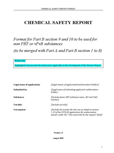 Chemical Safety Report Format With Instructions Pdf Risk Water