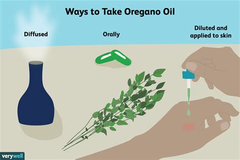 What Is Oregano Oil Good For In The Body At Lucinda Mccathie Blog