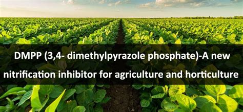 A New Nitrification Inhibitor For Agriculture And Horticulture Dmpp 3