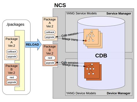 Using Cdb Network Services Orchestrator Nso V6 4 Cisco Devnet