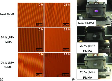 A Optical Microscopy Images Showing The Wrinkle Relaxation Behavior Download Scientific