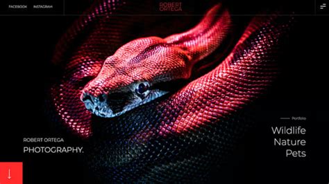 Provide Htmlcssjavascript Development For A Stunning Website By Hichammourtaj Fiverr