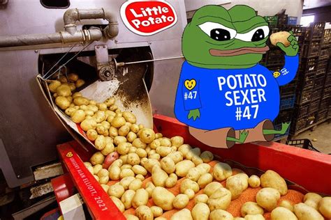Potato Sexer Gae R Cthulhuwhite