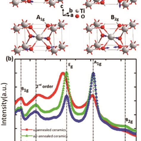 A Raman Active Modes Eigenvectors Of Rutile Tio2 The Sizes Of