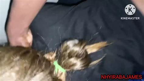 She Let Me Fuck Her Hard Because She Wanted To Make Money By Nhyiraba