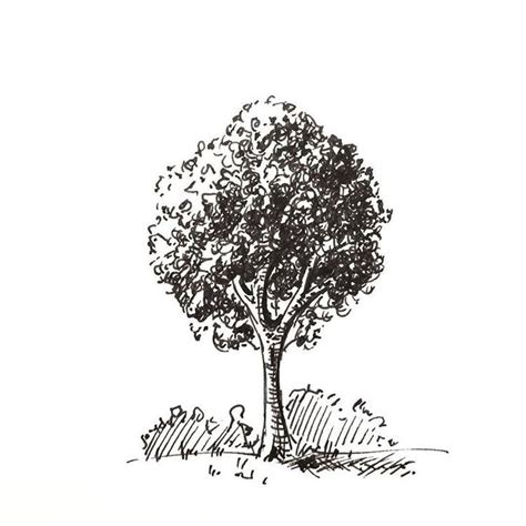 Pen Ink Tree Ink Pen Art Tree Pencil Sketch Ink Pen Drawings