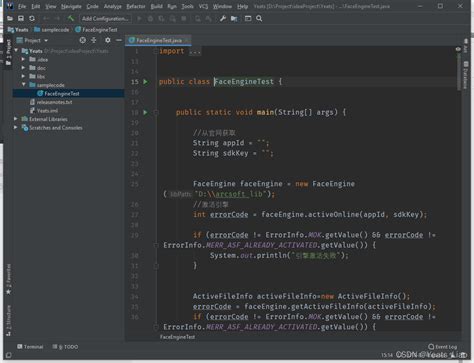 10：java人脸识别认证 Java Api 实战javayeatsliao Damo开发者矩阵
