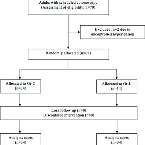 Procedure Flowchart Groups Are Defined In Method Under Sample Size