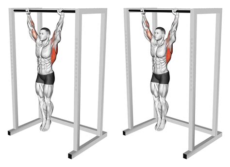 Dead Hangs Benefits Muscles Worked And More Inspire Us