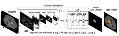Batch Normalized Pixelnet Architecture Download Scientific Diagram