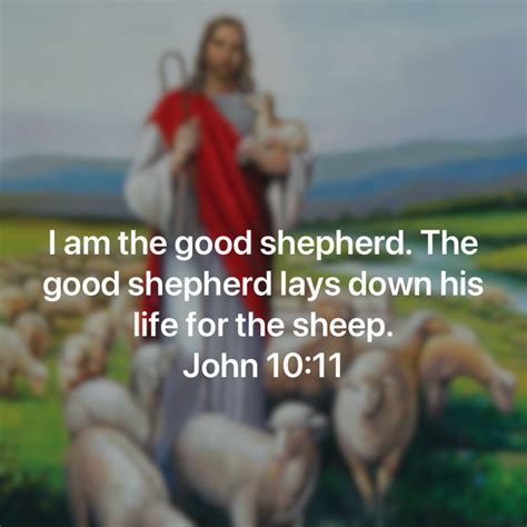John 10 11 I Am The Good Shepherd The Good Shepherd Lays Down His Life