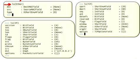 Scapy Flashcards Quizlet