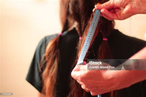 기부를 위해 어린 소녀의 머리를 자르는 미용사 머리 모양에 대한 스톡 사진 및 기타 이미지 머리 모양 사람 머리카락 자선기부 Istock