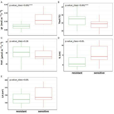 Box Plot Representation Of The Physiological Gs Tleaf Asat And Download Scientific Diagram