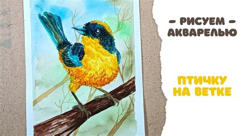 Как акварелью нарисовать желтую птичку на ветке Youtube