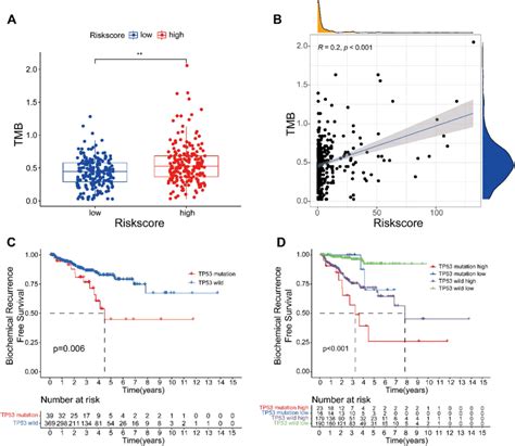 The Relationship Between TMB And The Signature A The Level Of TMB In Download Scientific