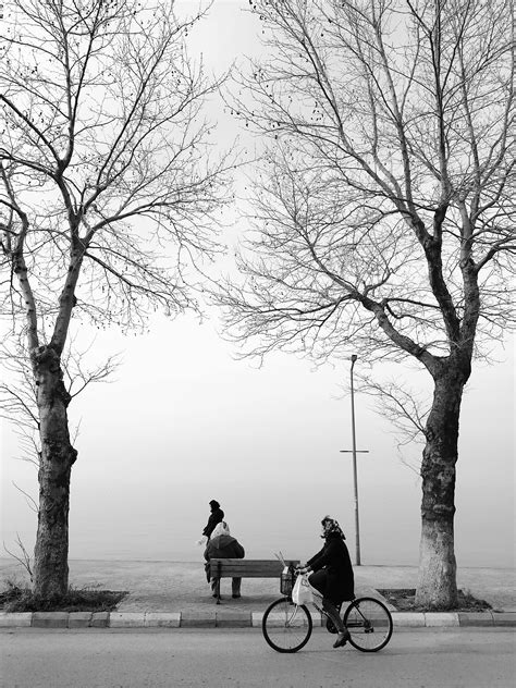 집 밖의 거리 거리 사진 거리 생활 겨울 겨울 장면 경치 고독 고요한 고요함 공공 장소 공원 관념적인