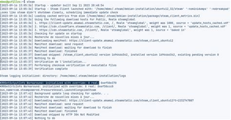 Steam Wont Launch Anymore On Zorin Os 16 Core Page 3 General Help Zorin Forum