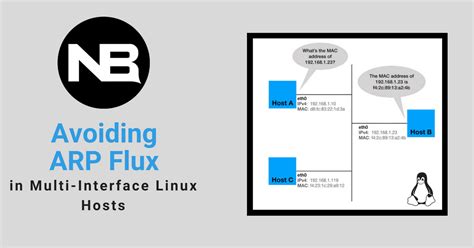 Avoiding Arp Flux In Multi Interface Linux Hosts
